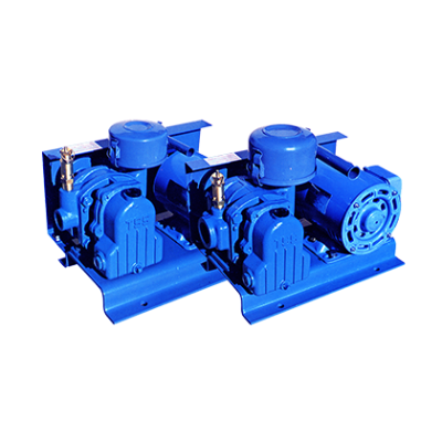 TAIKO 2 Lobes Roots Type Blower/Vacuum Pump | Winston Engineering