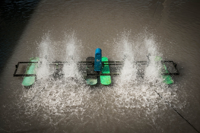 Types of Aeration Systems Used in Industrial Applications